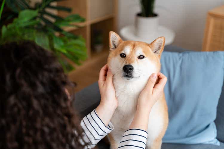 Elanco gains FDA approval for Credelio Quattro parasiticide for dogs ...